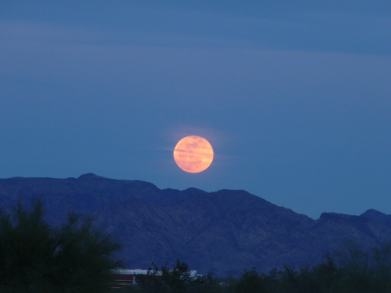 Why August’s Full Moon is the Sturgeon Moon | Star Name Registry