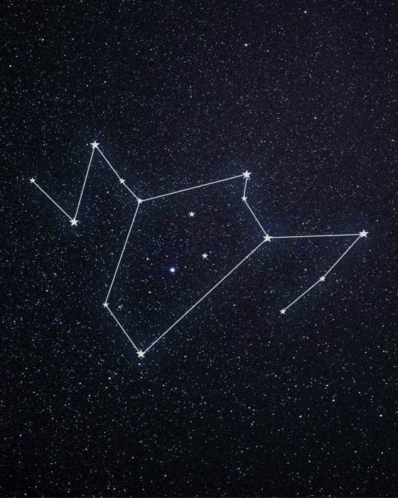 Star Constellations Names And Pictures Phoenix